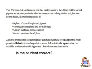 AP Biology Ch 12 gene linkage groups and chromosome maps | PPT