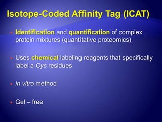 Protein microarrays, ICAT, and HPLC protein purification | PPT