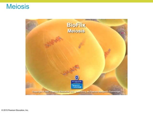 Ch12lecturepresentation 150831183228-lva1-app6892 | PPT