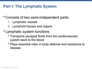 Lymphatic system ANATOMY AND PHYSIOLOGY Mabini Colleges | PPTX