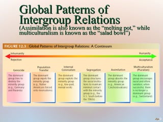 Race & Ethnicity Mini-Lecture | PDF