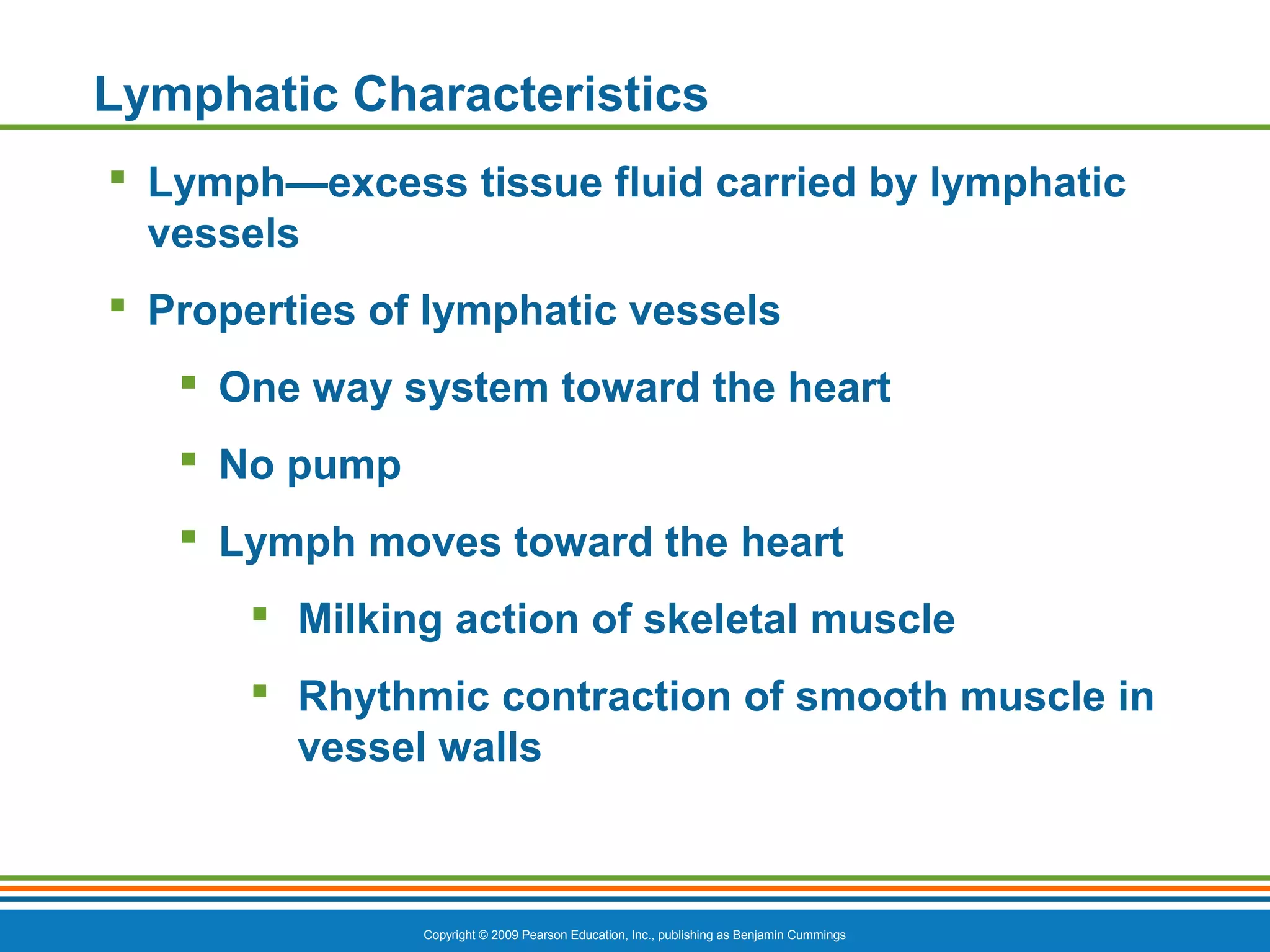 CVA A&P - Chapter 12: Lymph and Immunity | PPT