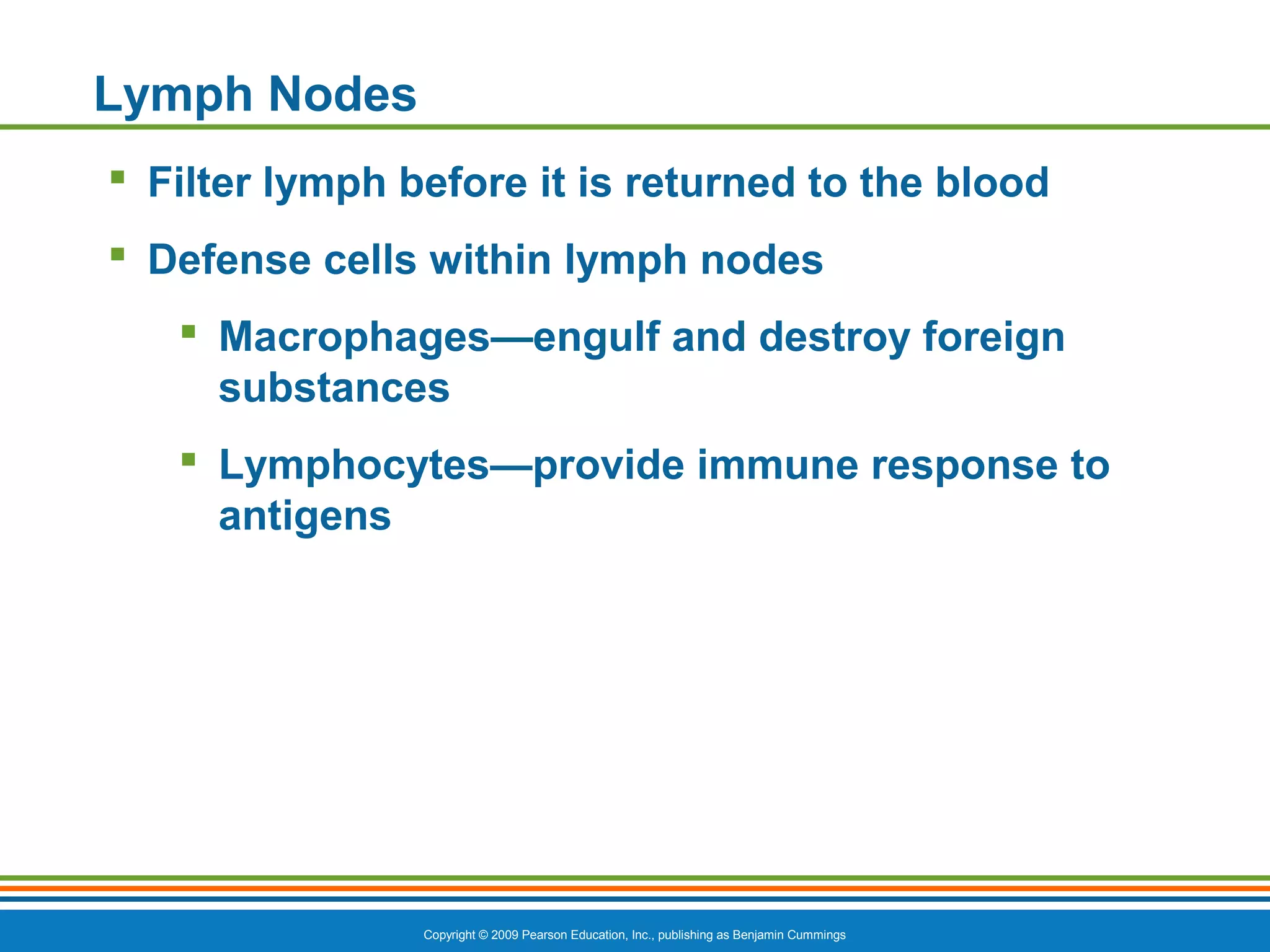 CVA A&P - Chapter 12: Lymph and Immunity | PPT