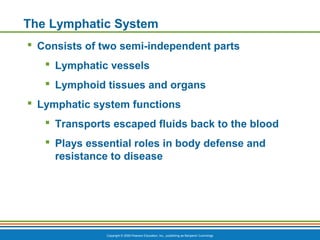 CVA A&P - Chapter 12: Lymph and Immunity | PPT