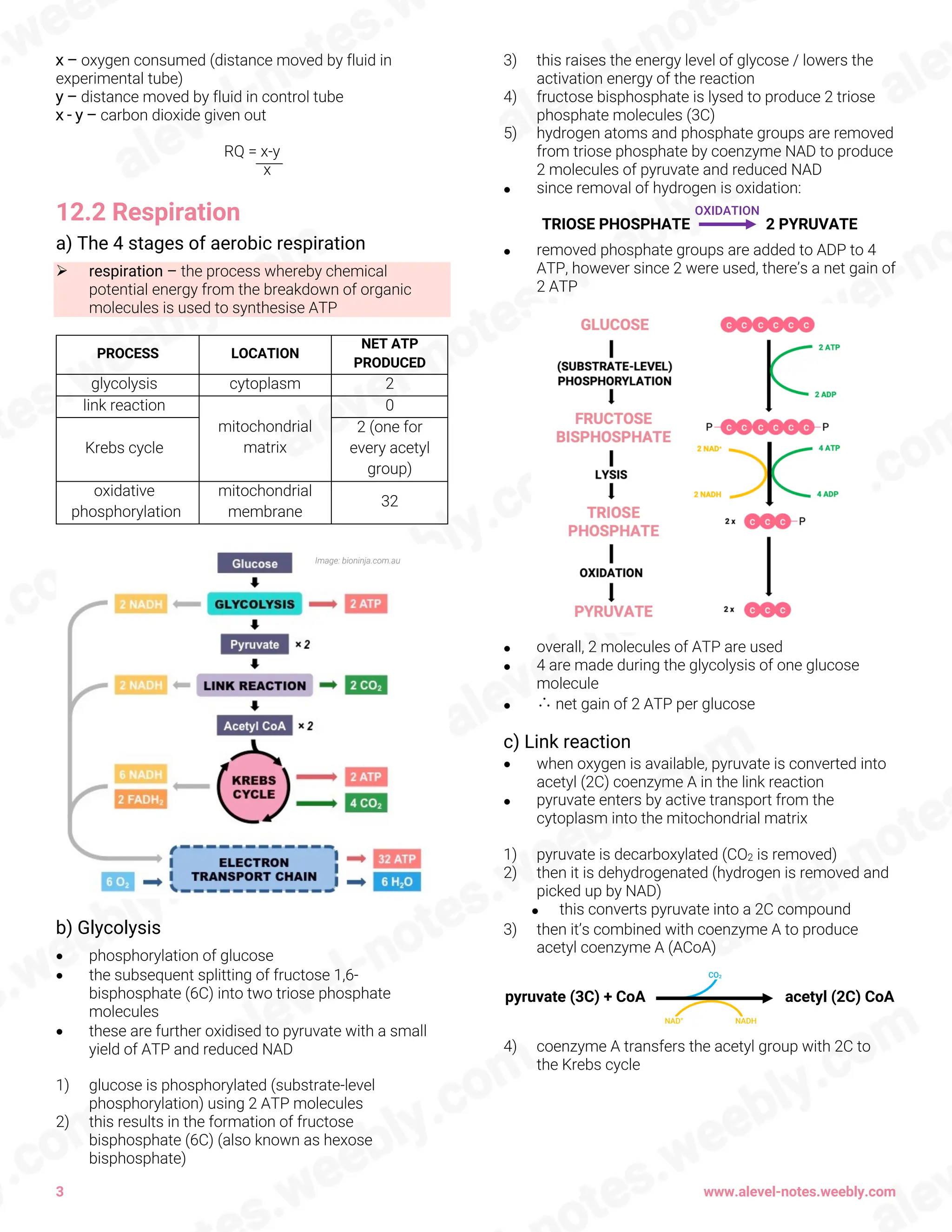 A level BioCH12 Reviewer Energy & Respiration.pdf