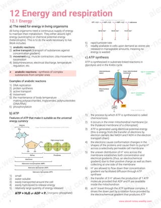 A level BioCH12 Reviewer Energy & Respiration.pdf