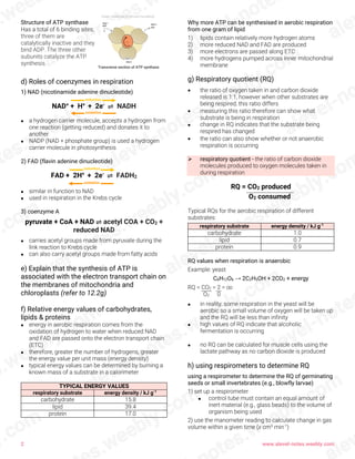 A level BioCH12 Reviewer Energy & Respiration.pdf