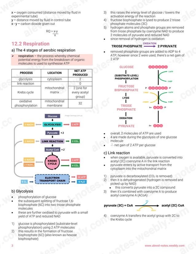 A level BioCH12 Reviewer Energy & Respiration.pdf