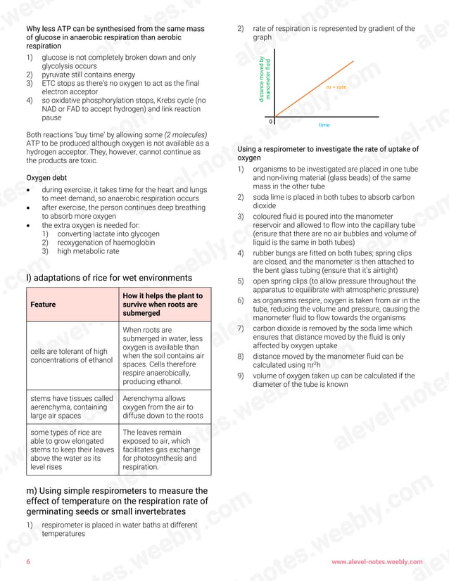 A level BioCH12 Reviewer Energy & Respiration.pdf