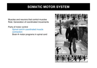 Ch13 | PDF | Biological Sciences | Science