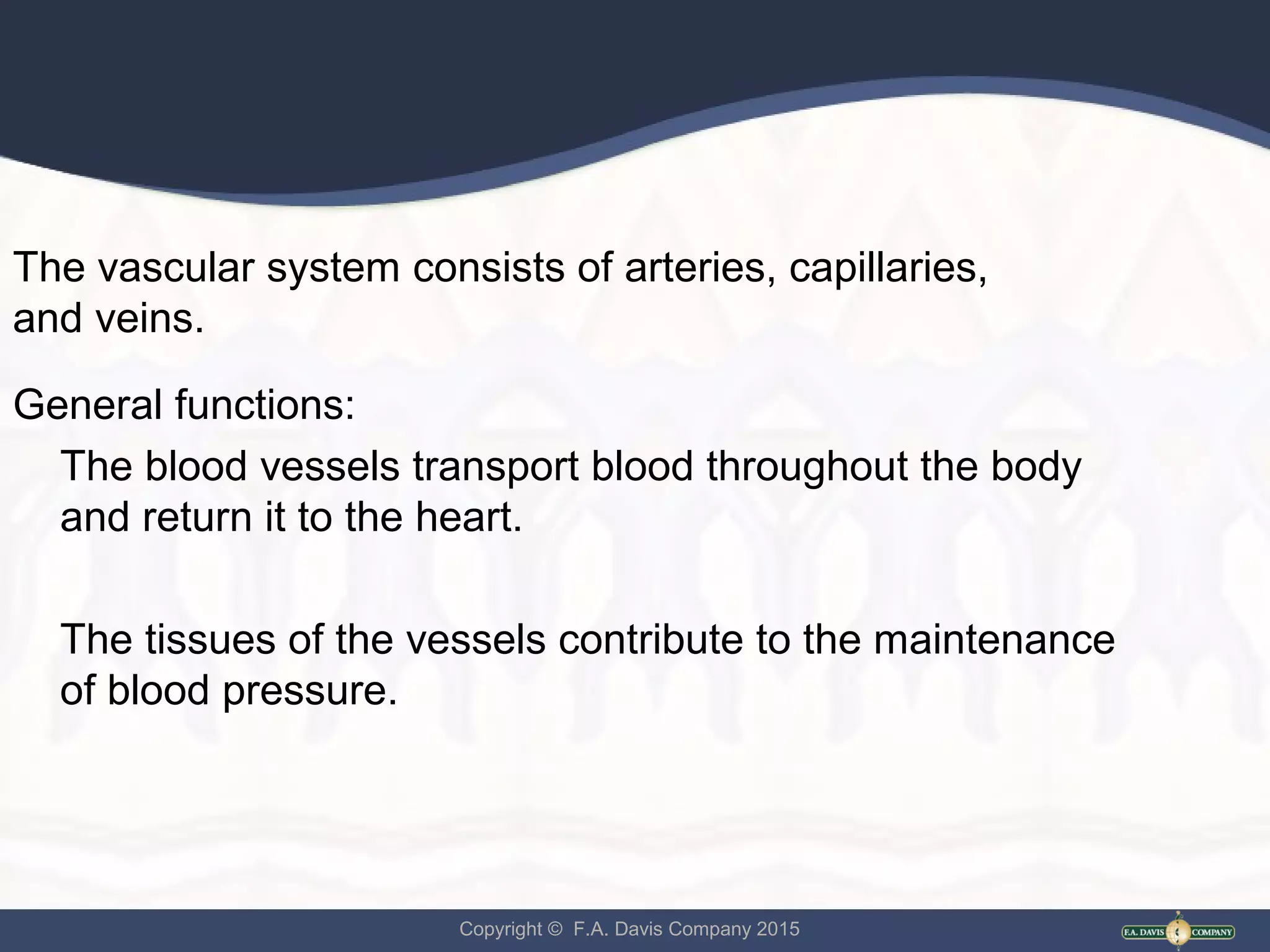 Ch13 - Vascular System - Franklin University | PPT