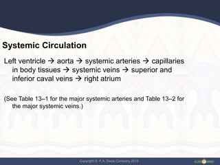 Ch13 - Vascular System - Franklin University | PPT