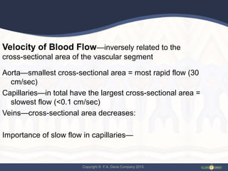 Ch13 - Vascular System - Franklin University | PPT