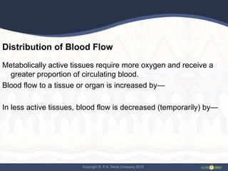 Ch13 - Vascular System - Franklin University | PPT