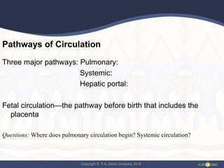 Ch13 - Vascular System - Franklin University | PPT