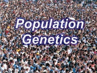 Ch. 13 Population genetics | PPT