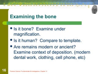 Forensic Anthropology: Understanding Human Bones in Investigations | PPT