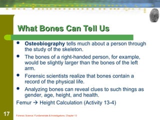 Forensic Anthropology: Understanding Human Bones in Investigations | PPT