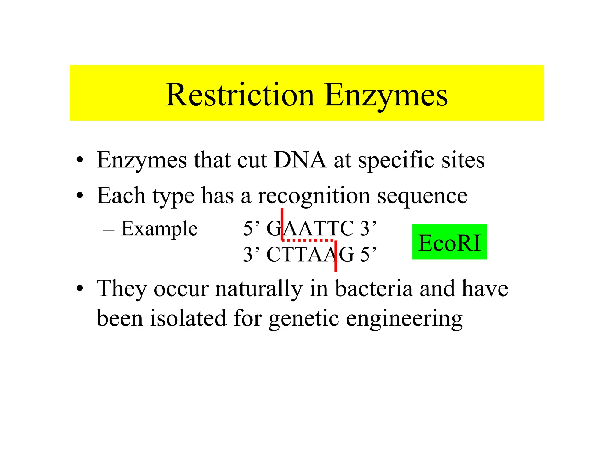 Genetic Engineering Notes chapternWP.pdf