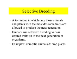 Genetic Engineering Notes chapternWP.pdf