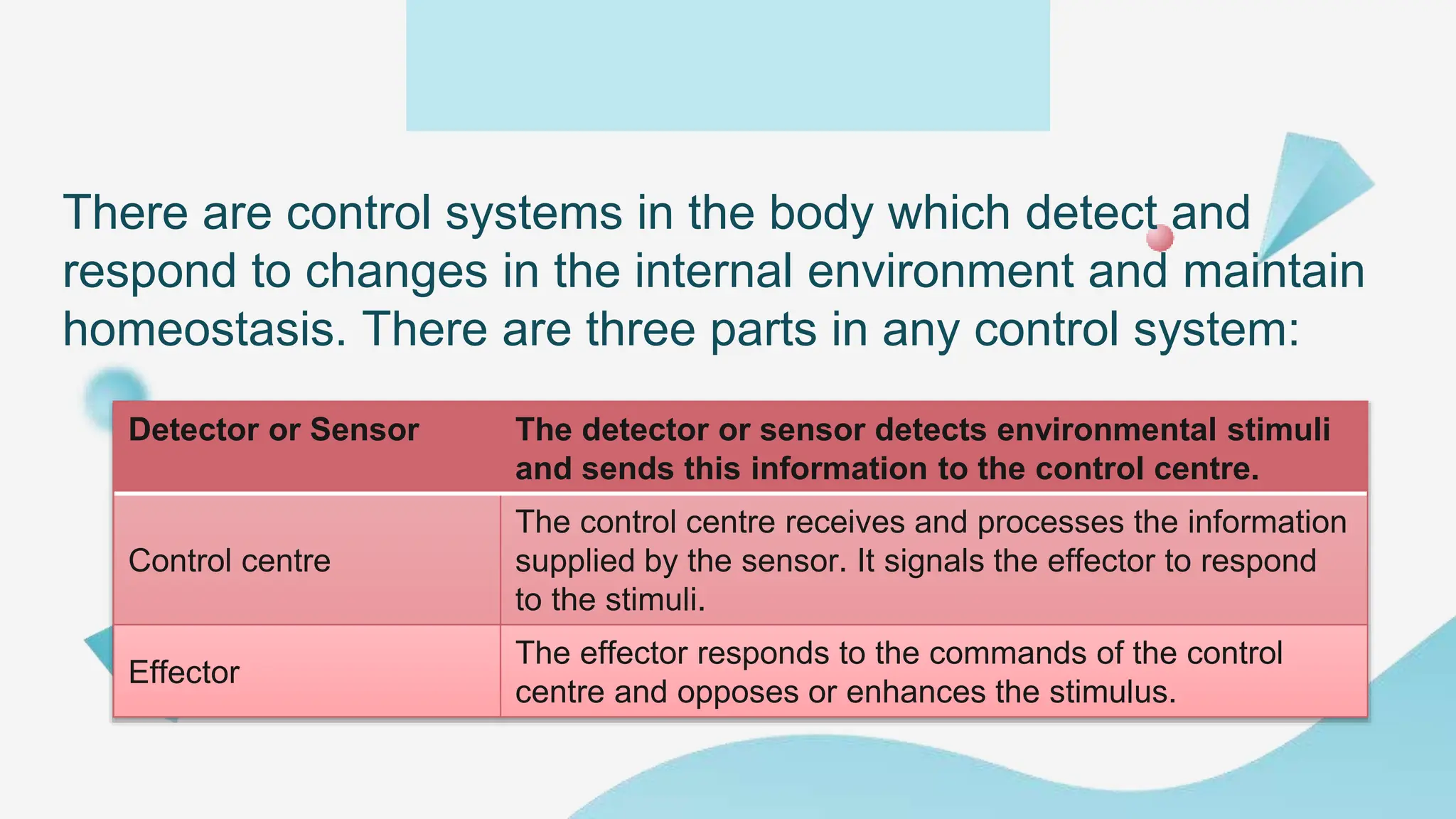 CH 13 HOMEOSTASIS.pptx