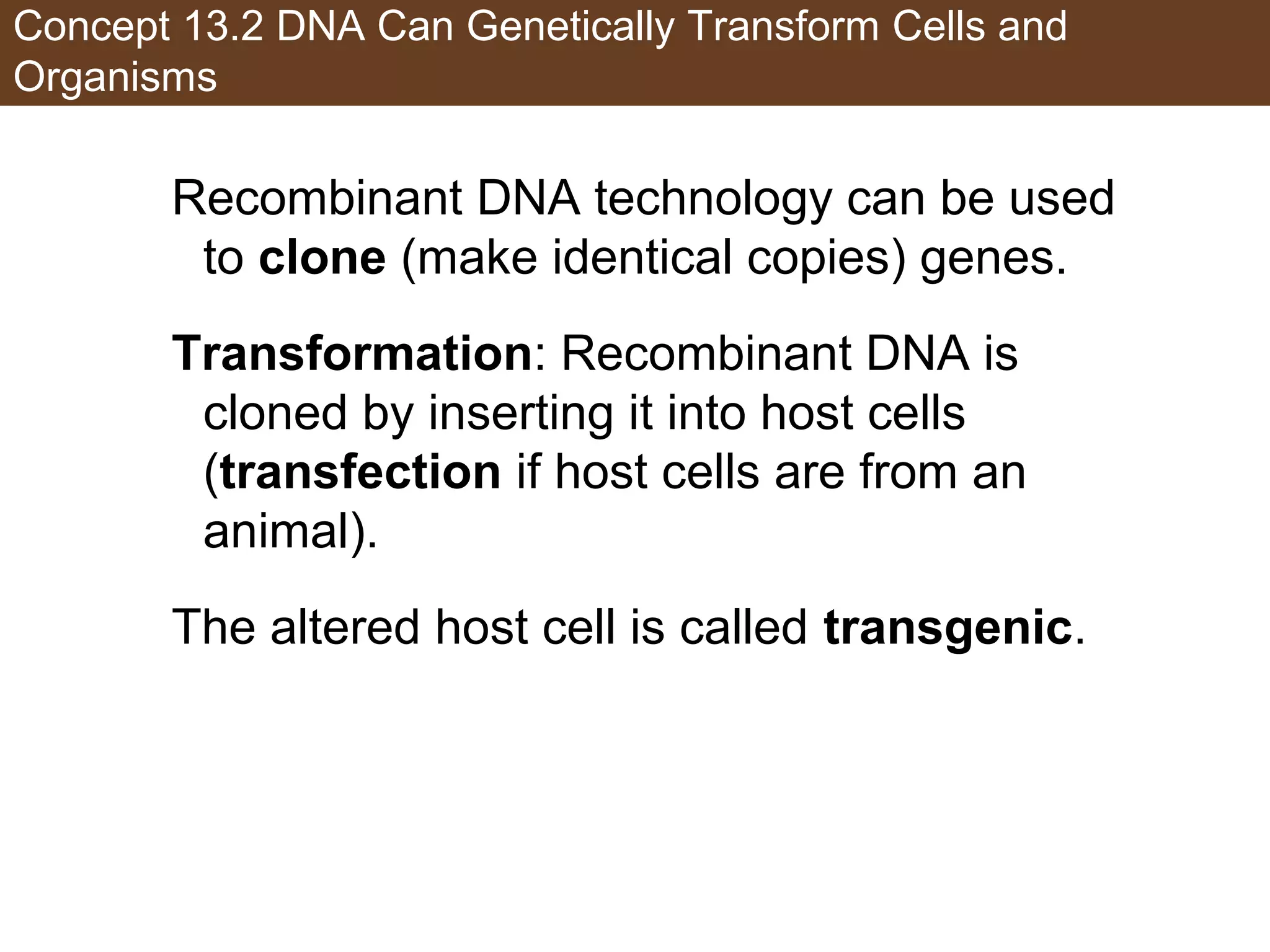Ch13 lecture biotechnology | PPT