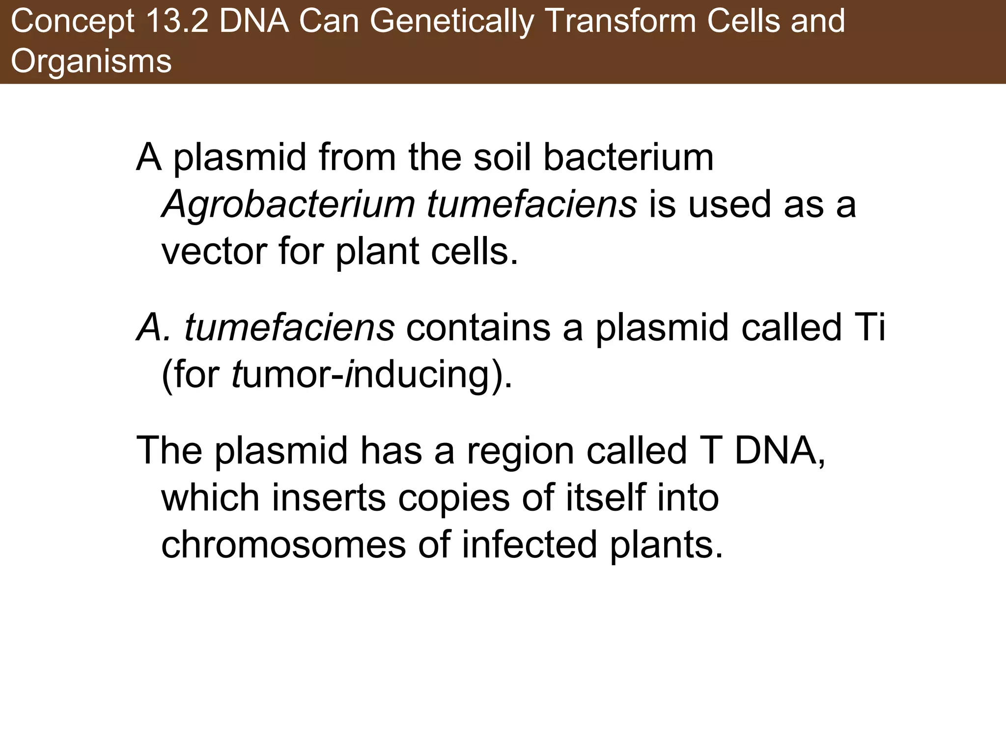 Ch13 lecture biotechnology | PPT