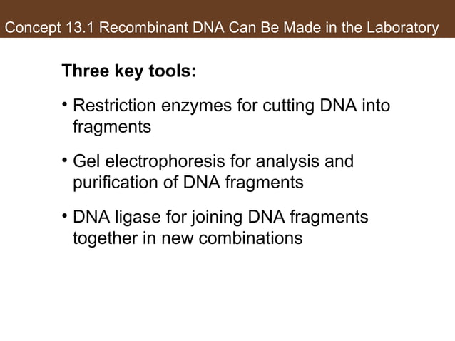 Ch13 lecture biotechnology | PPT