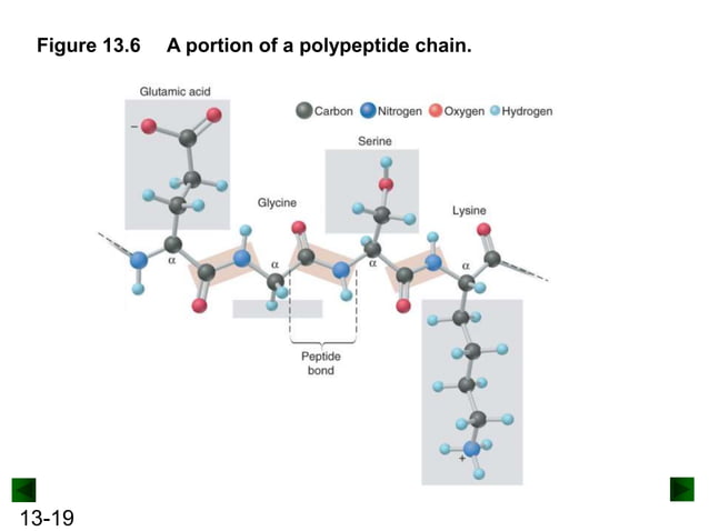 ch13_lecture_6e_final3.ppt