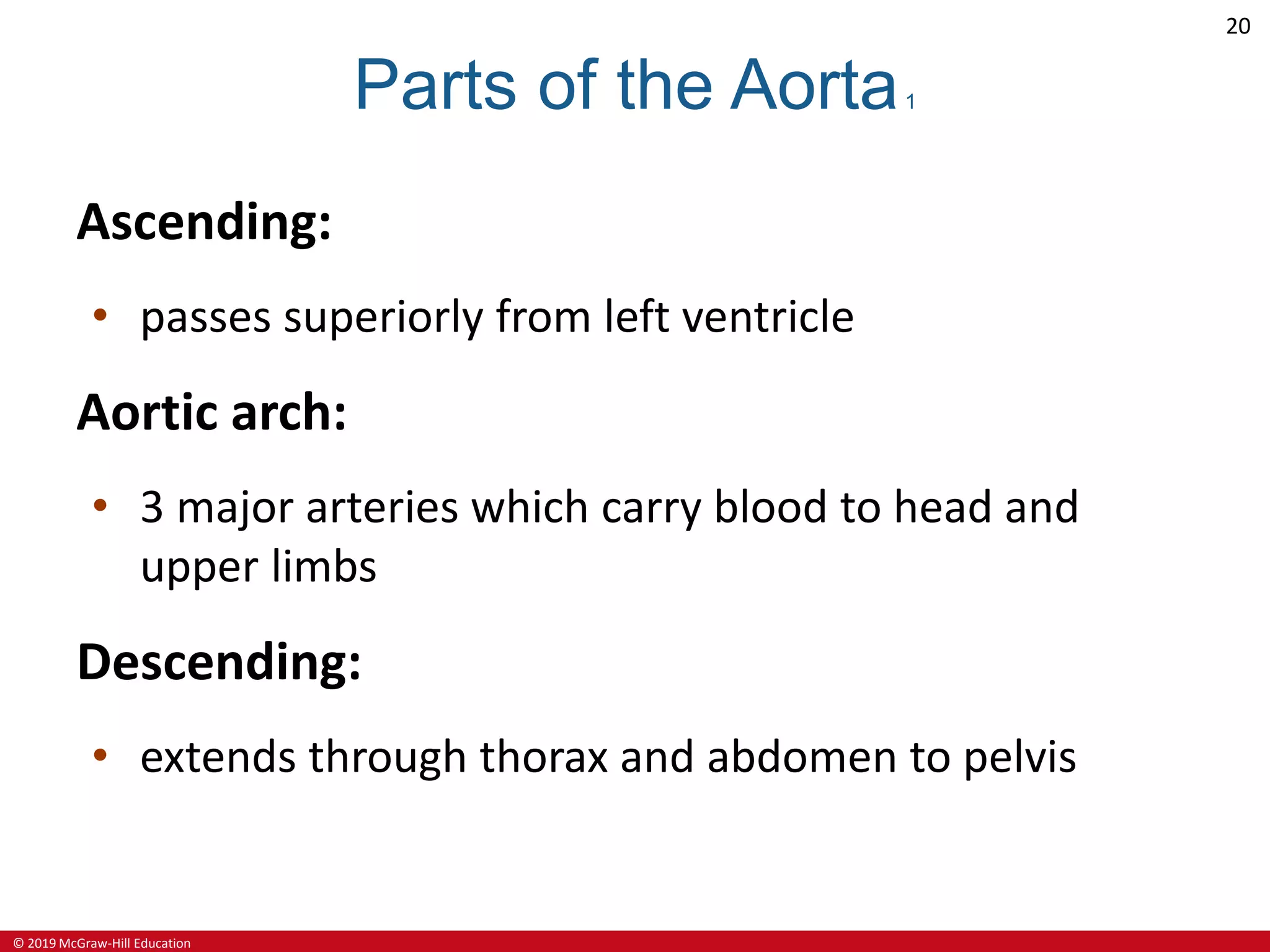 Ch13 lecture ppt_a | PPTX