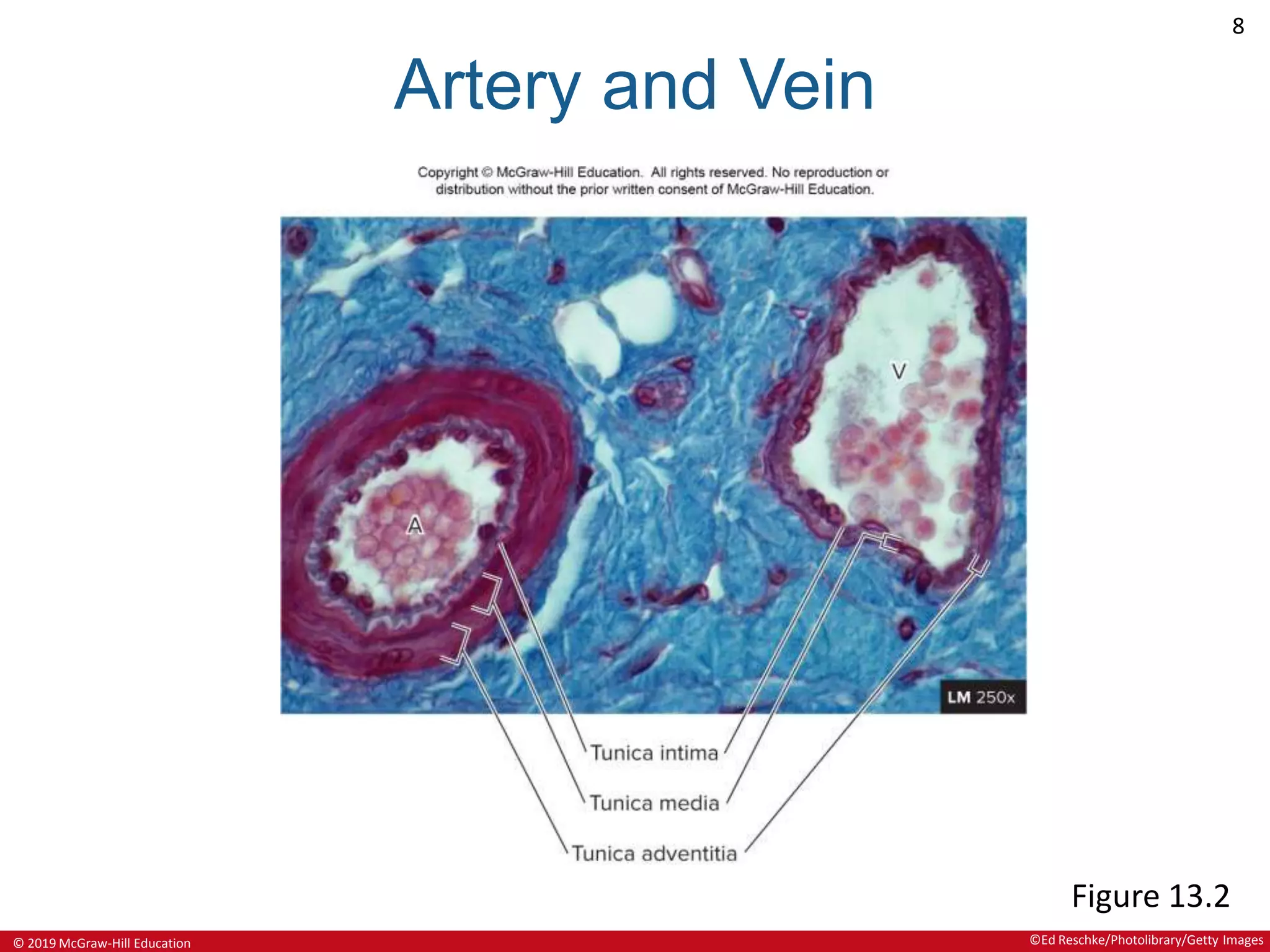 Ch13 lecture ppt_a | PPTX