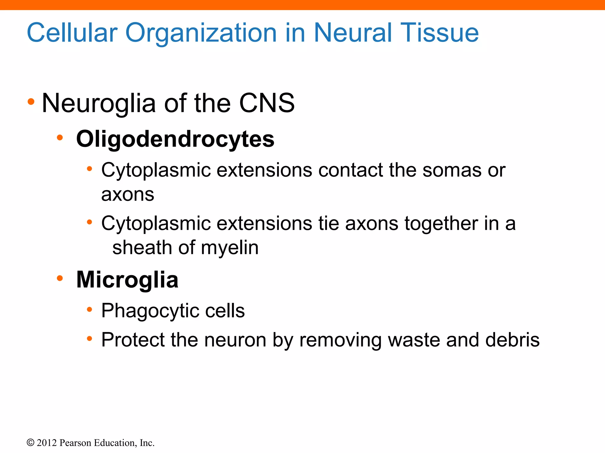 Ch13lecturepresentation 140918213440-phpapp02 | PPT