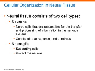Ch13lecturepresentation 140918213440-phpapp02 | PPT
