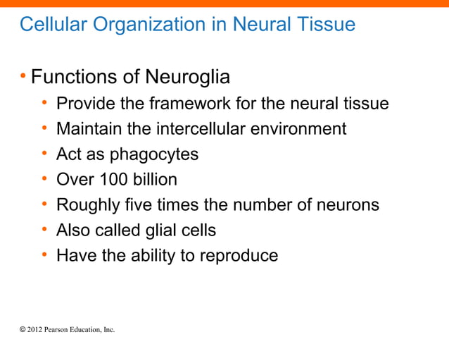 Ch13lecturepresentation 140918213440-phpapp02 | PPT | Free Download