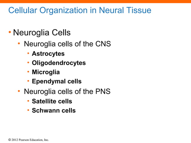 Ch13lecturepresentation 140918213440-phpapp02 | PPT | Free Download