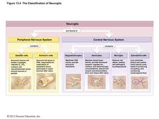 Ch13lecturepresentation 140918213440-phpapp02 | PPT