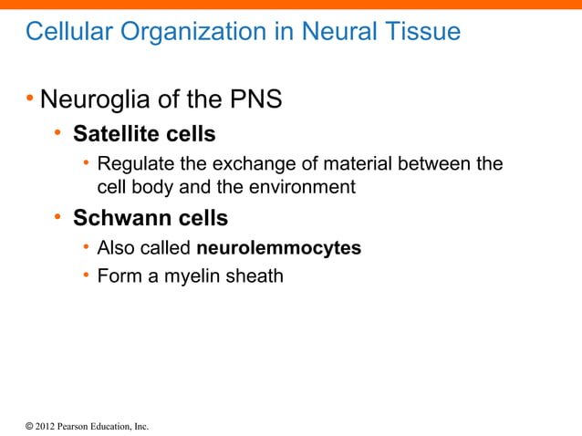 Ch13lecturepresentation 140918213440-phpapp02 | PPT | Free Download