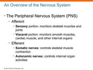 Ch13lecturepresentation 140918213440-phpapp02 | PPT