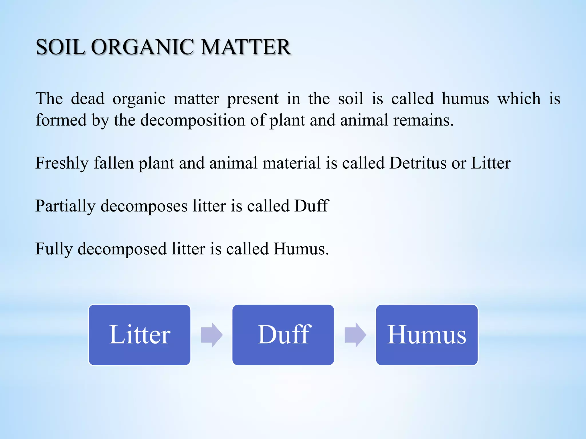 Ch 13 organism and population || Class 12 || | PPTX