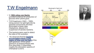 Ch 13 photosynthesis in higher plants xi (1) | PDF