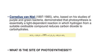 Ch 13 photosynthesis in higher plants xi (1) | PDF