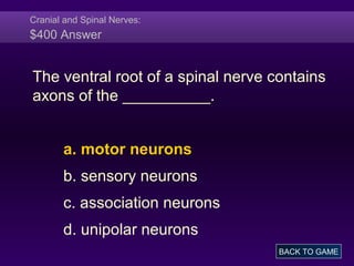 Merkel Disc Unipolar Neuron