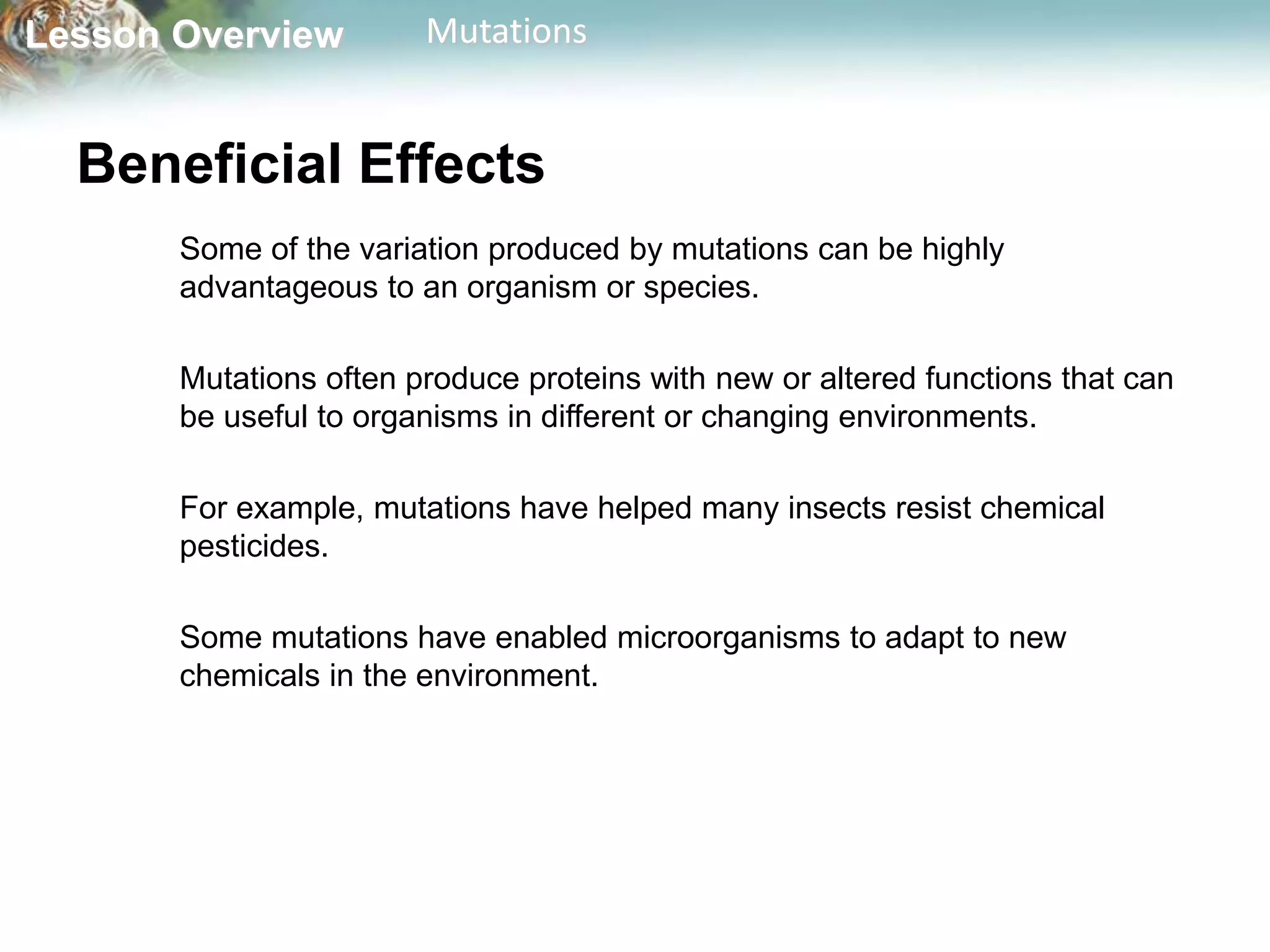 ch 13 sec 3 notes.ppt | Biological Sciences | Science