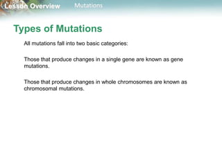 ch 13 sec 3 notes.ppt | Biological Sciences | Science