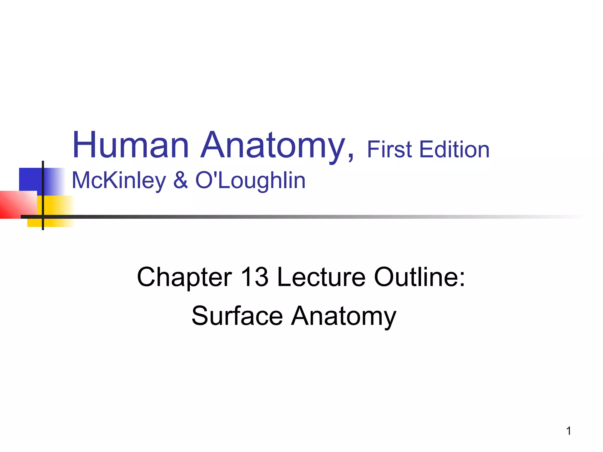 Surface Anatomy | PPT