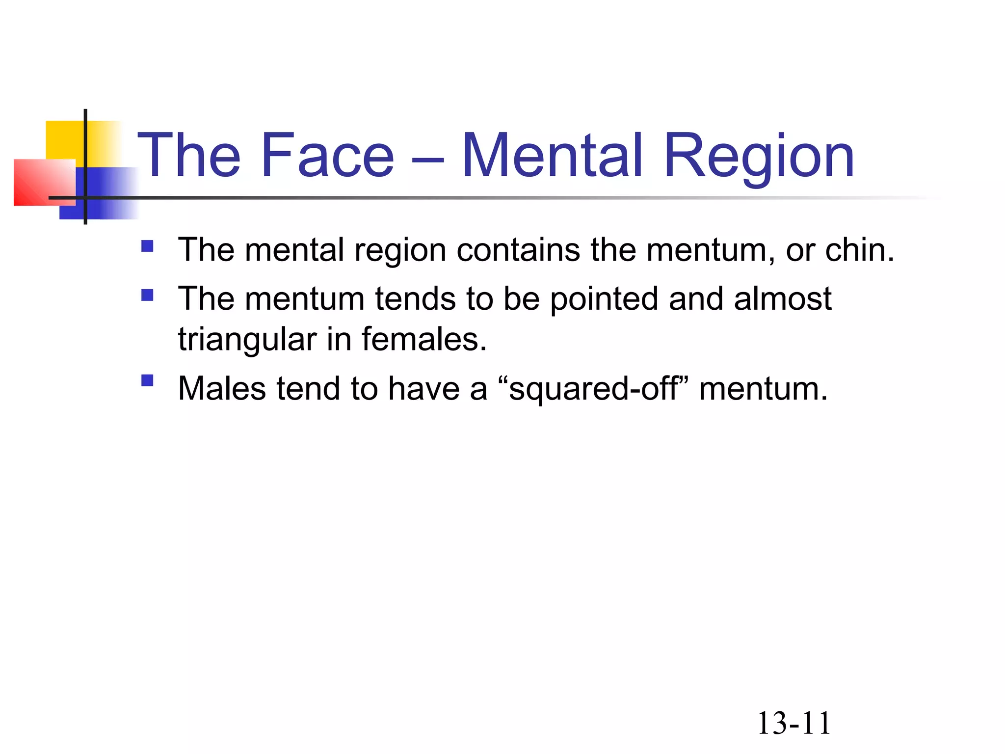 Surface Anatomy | PPT
