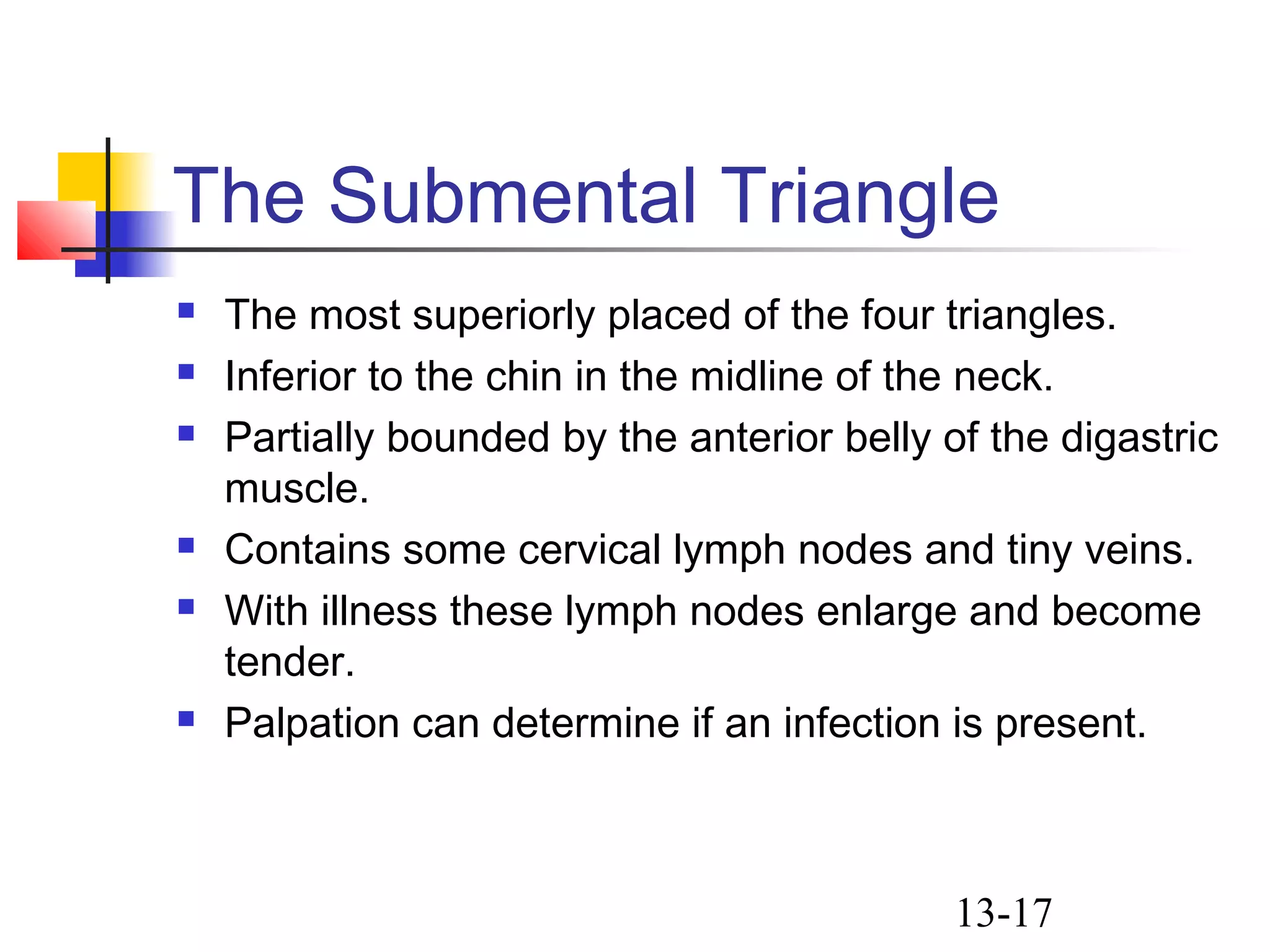Surface Anatomy | PPT