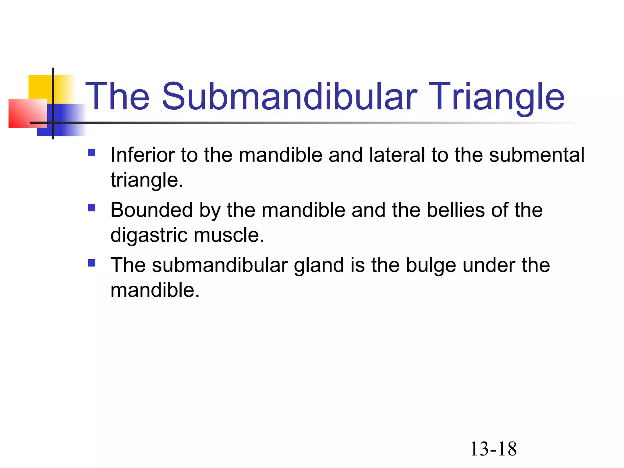 Surface Anatomy | PPT