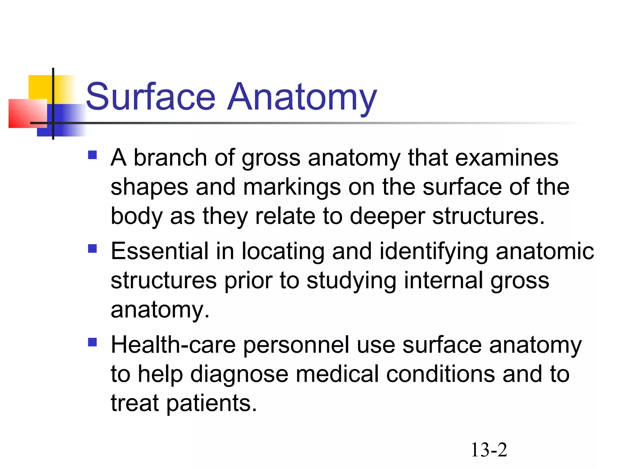 Surface Anatomy | PPT