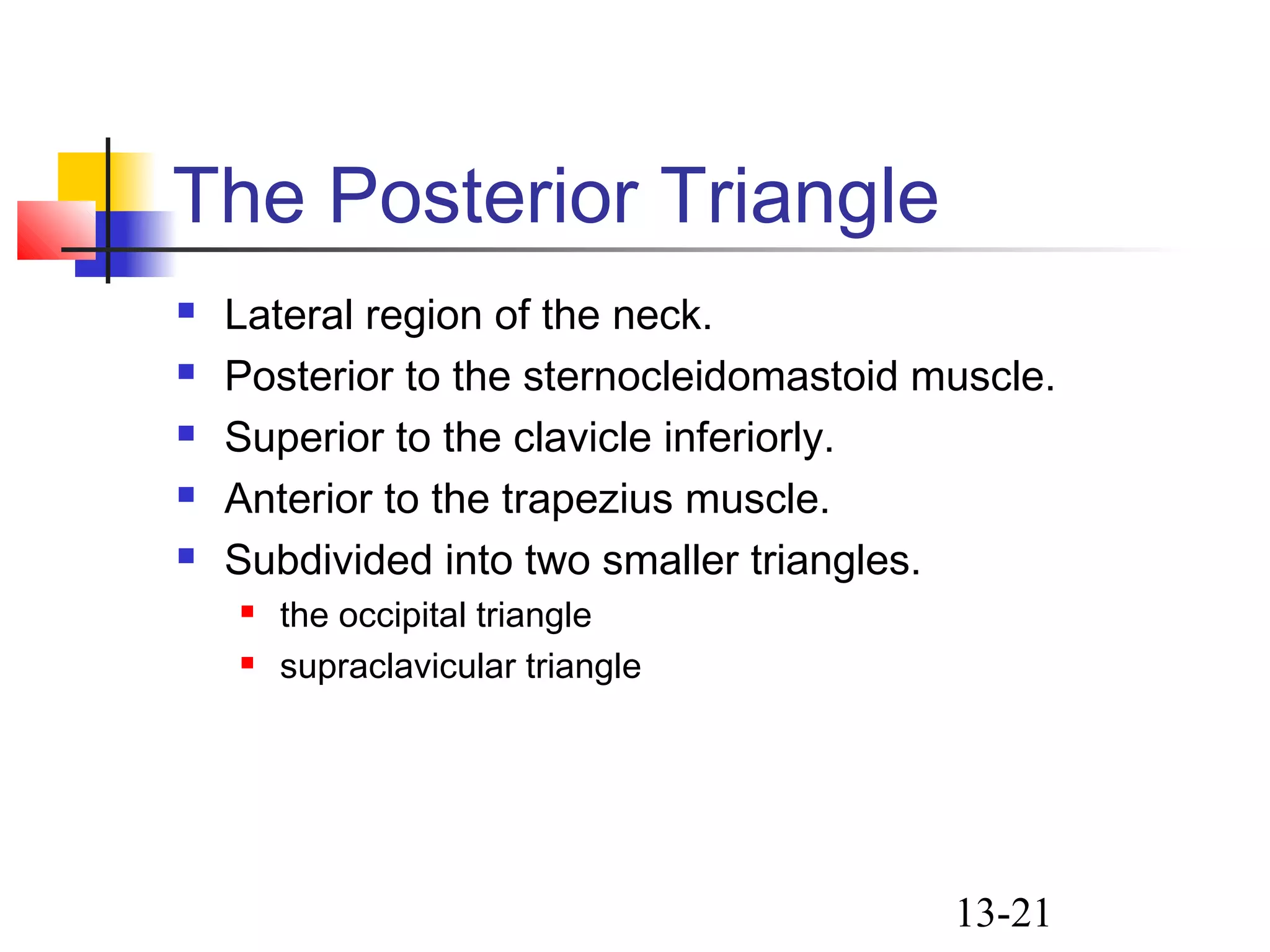 Surface Anatomy | PPT